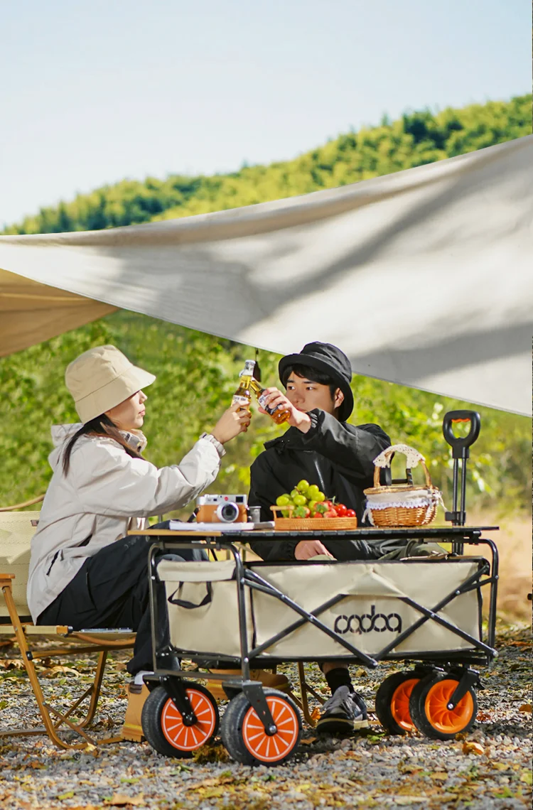 Motorized Electric Beach Trolley Cart Stainless Steel Folding Wagon for ...