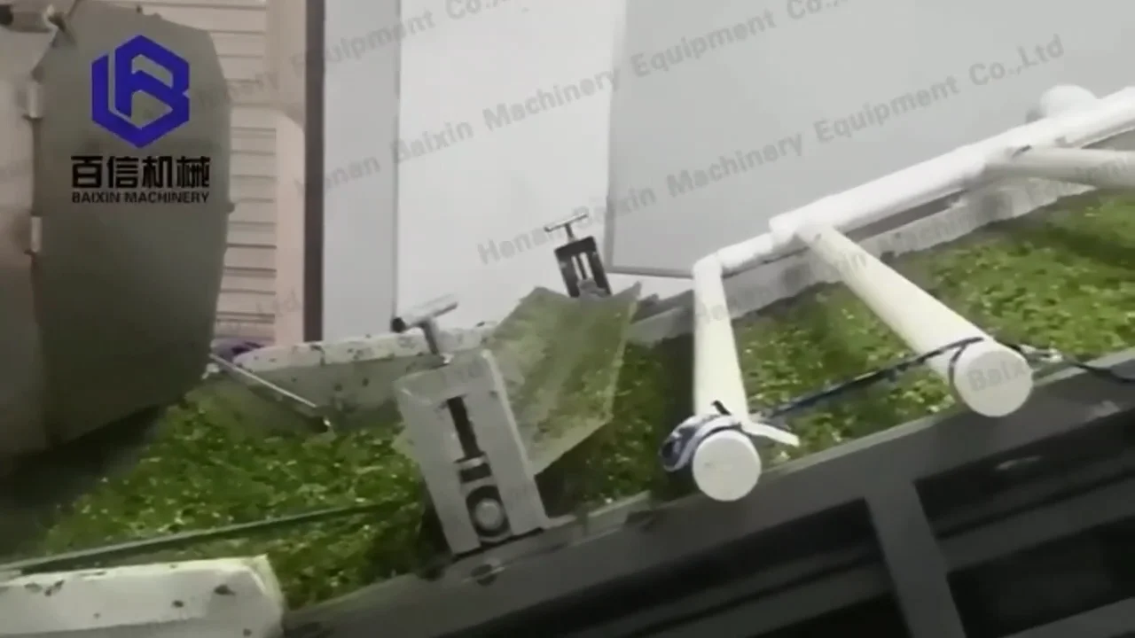 Mesh Belt Tunnel Dryer Moringa Leaf Dryer Moringa Leaf Drying Machine ...