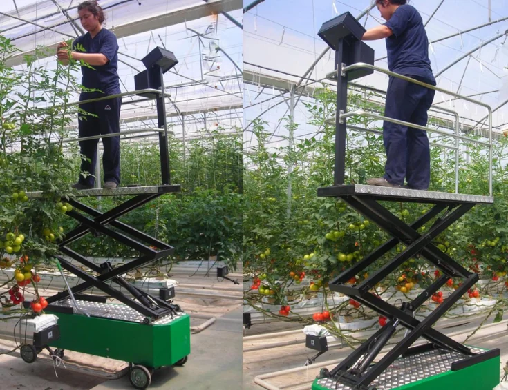 3.5M Greenhouse-Specific Scissor Lift Electric Lift for Farming