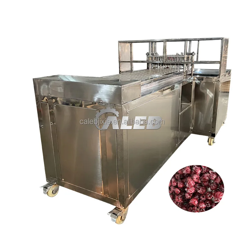 Automatic Hibiscus Pitting Machine Electric Apricot Avocado Plum Cherry ...