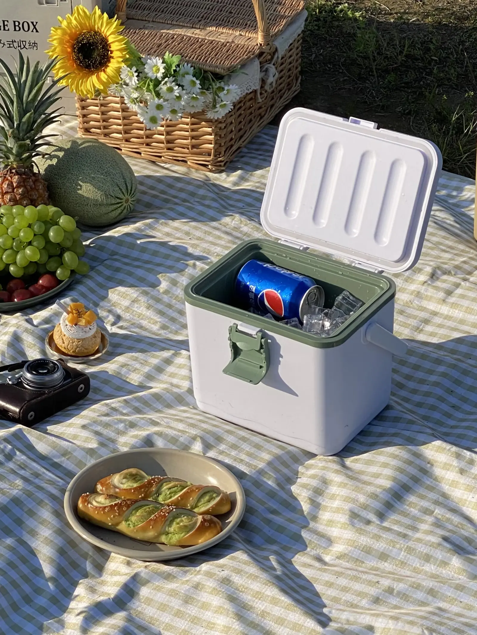 4.5L Mini Ice Cooler - Perfect for Outdoor Camping & Picnic