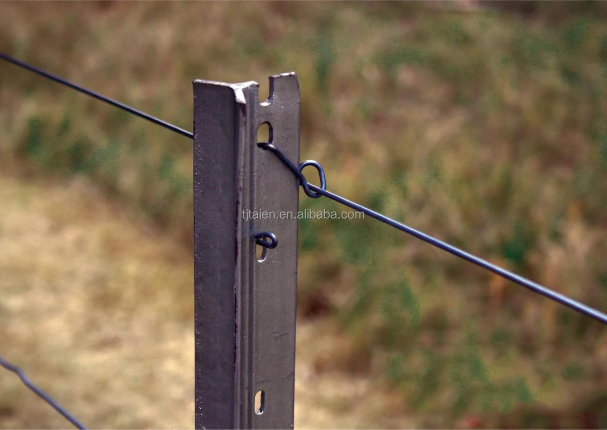 Heavy Duty Star Pickets - Durable Galvanised Fencing Solutions