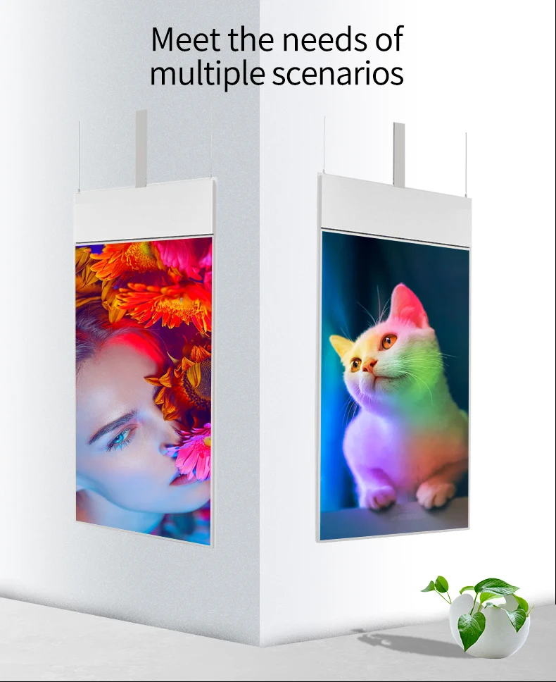 Double Side Dual Digital Window Display Signage Vertical Transparent ...