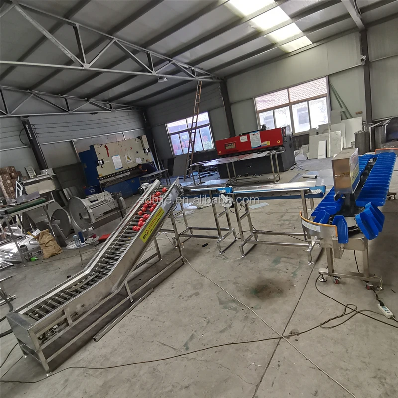 Size Classification Vegetable Selection Machine Sorter Mango Grading ...