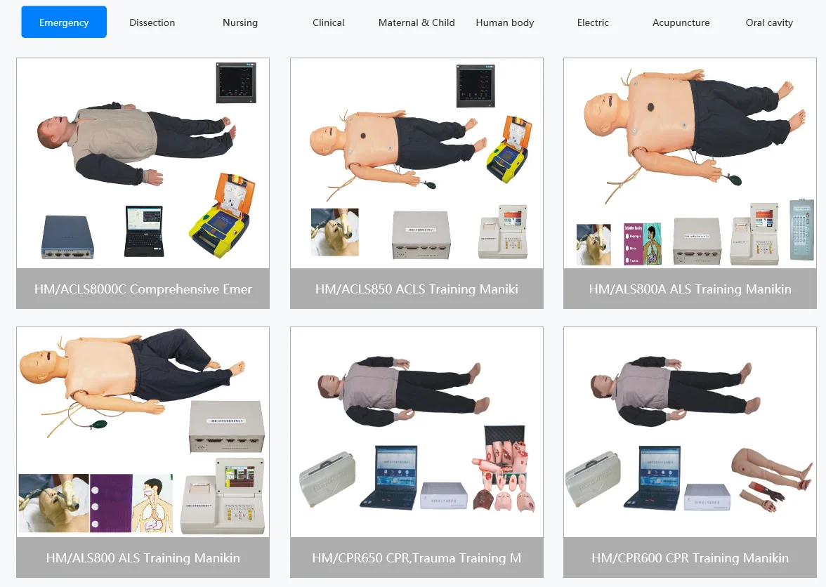 Medical Teaching Bronchial Endoscope Training Model Simulator Manikin ...