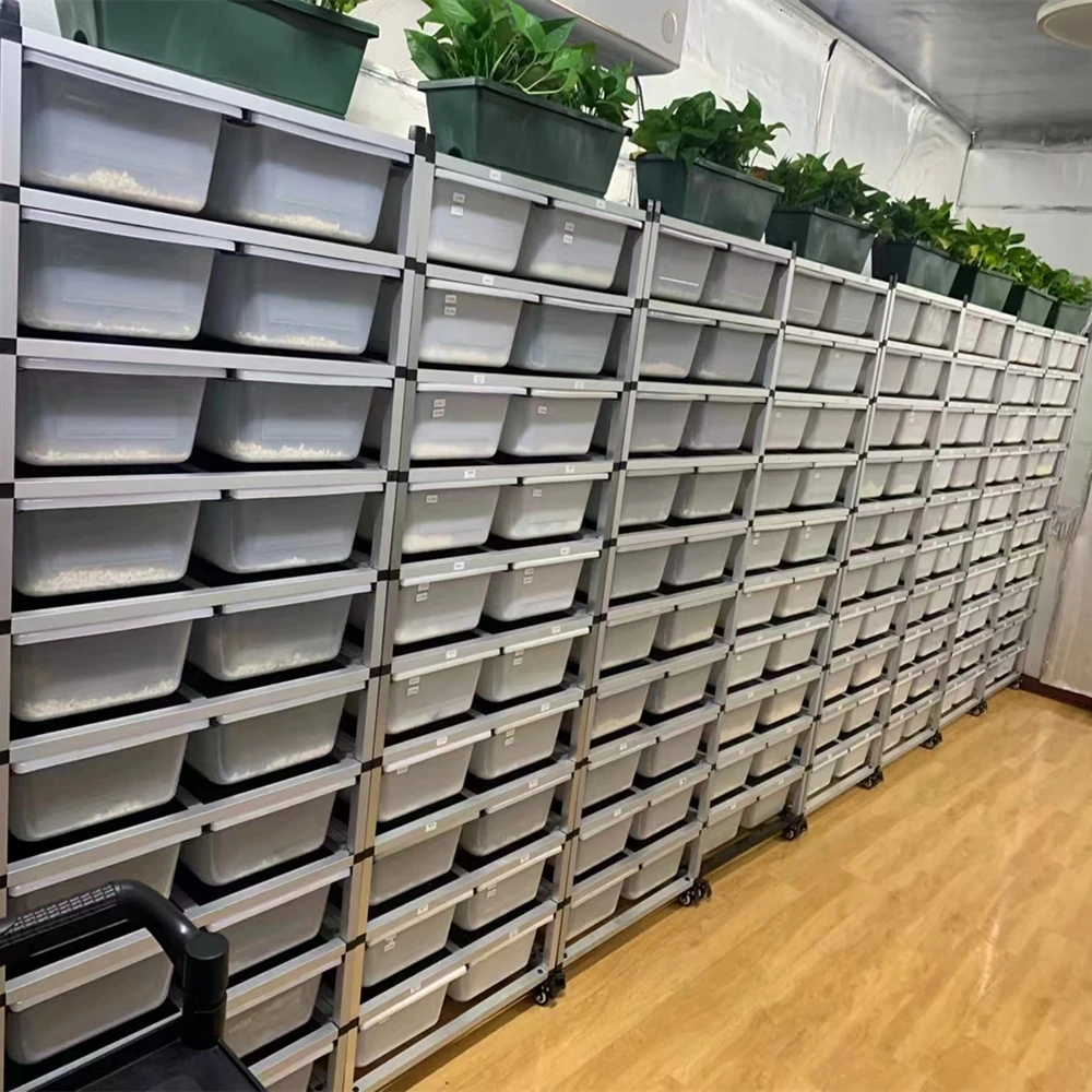 Metal Reptile Breeding Rack Pvc Pp Plastic Snake Reptile Feeding Box ...
