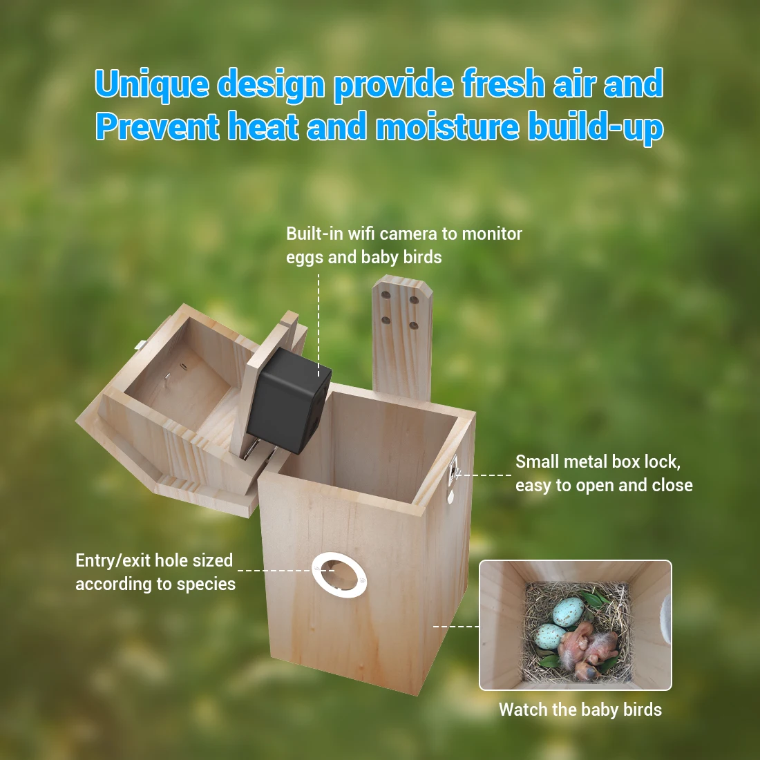 App Group Control Bird Nest With Camera Infrared Motion Detection - Buy ...