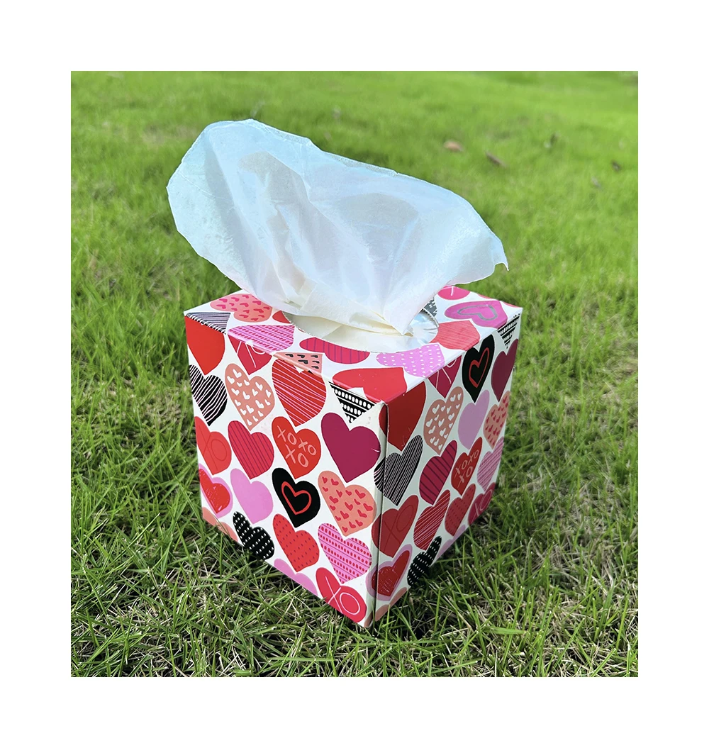 Oem Customised Box Tissue Paper Cube Box Facial Towel 12 Boxes 60 Count ...