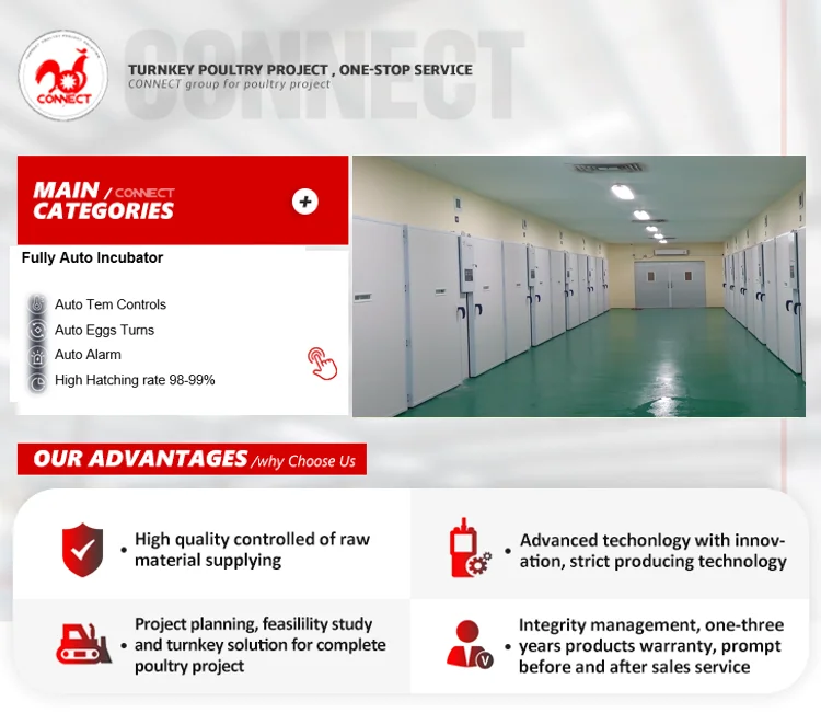 19200 Eggs Hatchery Setter Incubators For Poultry Farming / Solar ...