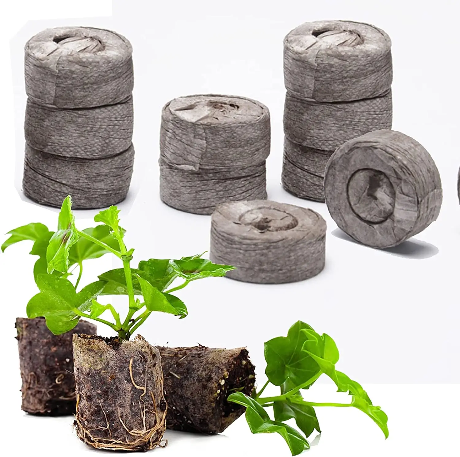 Compressed Seed Starter Germination Coco Coconut Coir Soil Disks