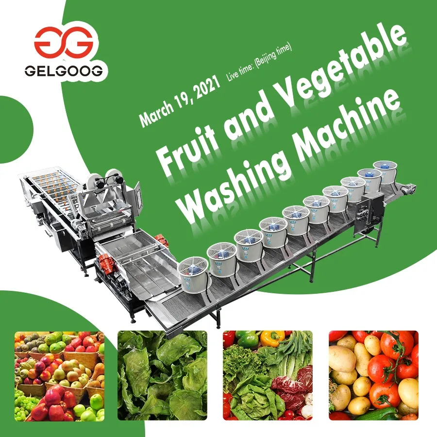 Gelgoog Automatic Fruit Vegetable Washing And Drying Line Product Show Stream 2023 - Alibaba.com