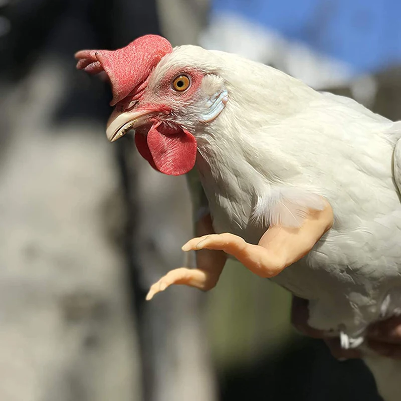 Funny Combat Chicken Arm Prank Chicken Arm Toy Dinosaur Hand Muscle Pet ...