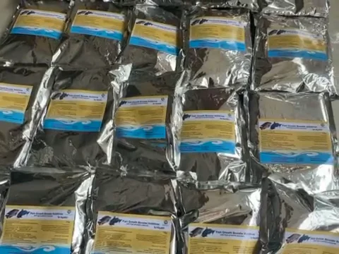 Shrimp & Fish Growth And Immunity Booster Probiotics Pet Health ...