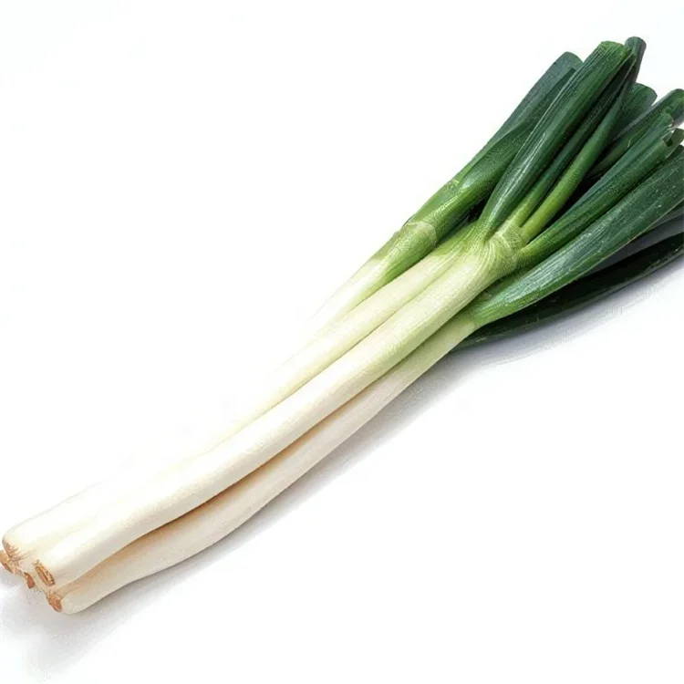 2p 3p 4p Chinese Spring Onion Fresh Vegetables Cheap Price Green Leek ...