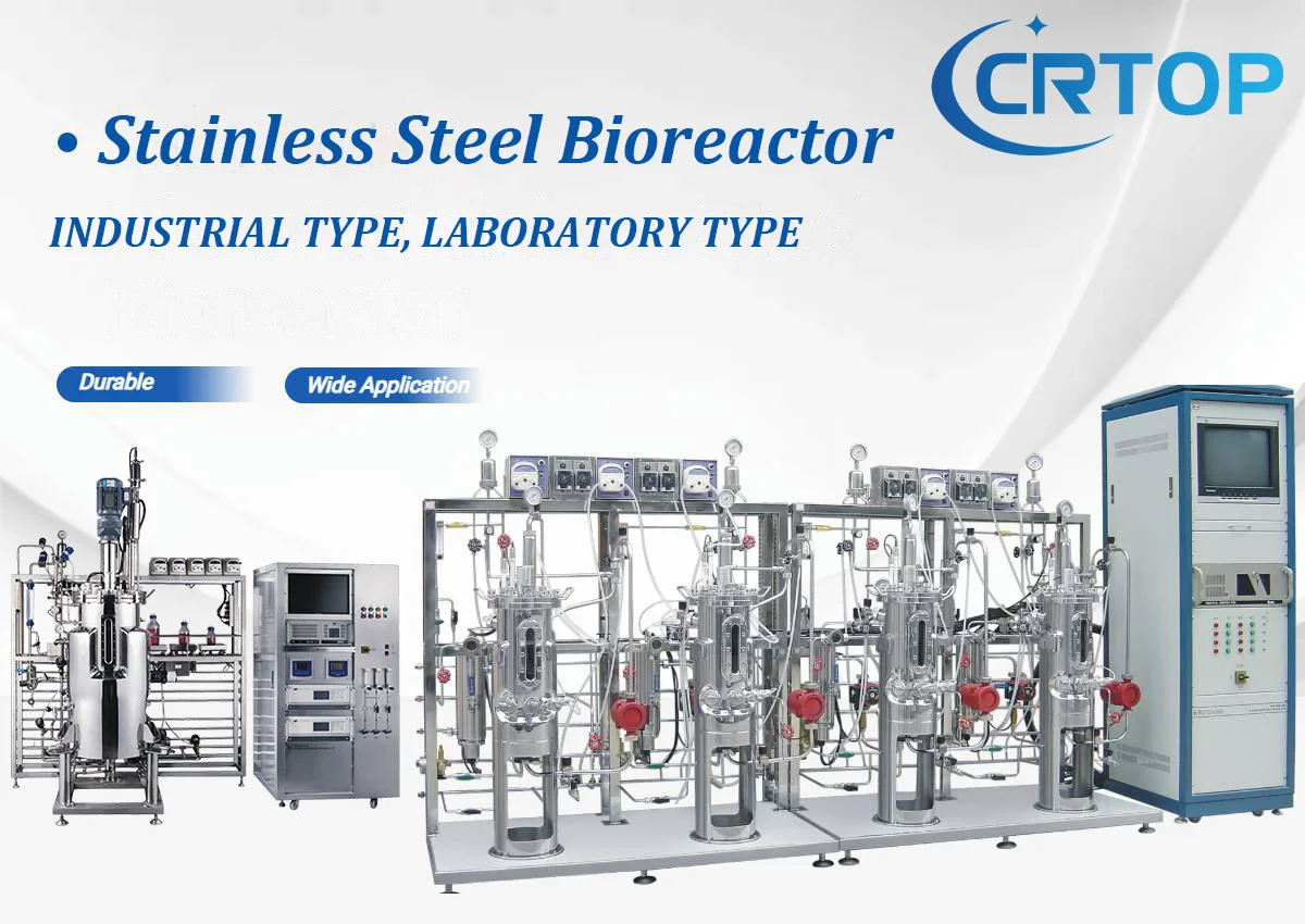 Stainless Steel Bioreactor - Efficient Fermentation