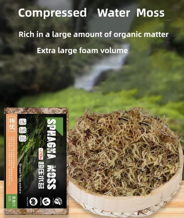 High Grade Long Fiber Sphagnum Moss With High Quality - Buy High Grade ...