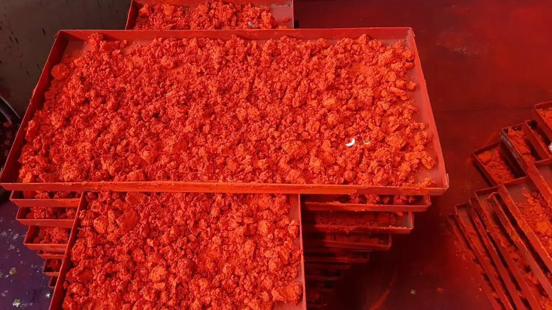 Hot Air Drying Oven - Efficient Fish & Mushroom Drying