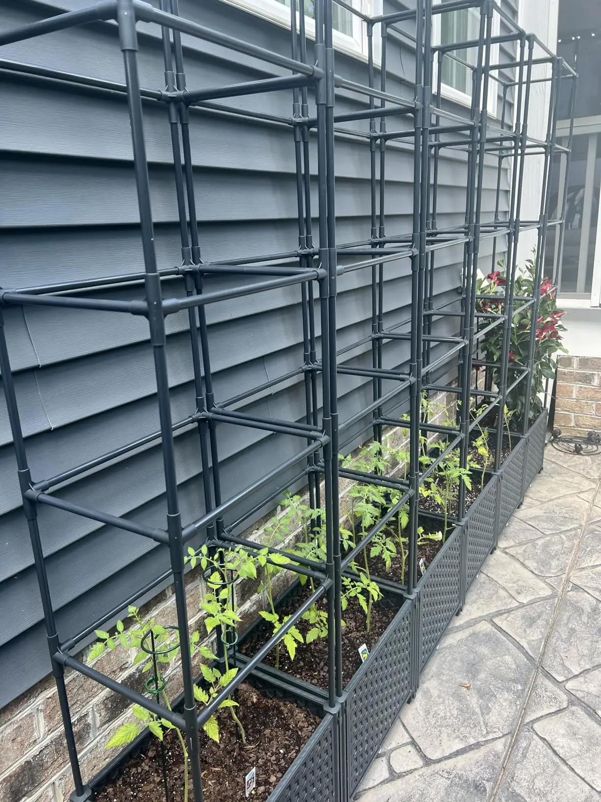 Hot Sell Square Iron Wire Plant Growth Frame - Tomato Cage