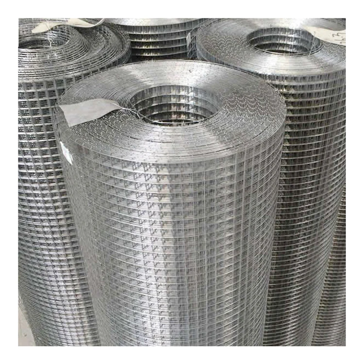 Hot Dipped Galvanized Welded Iron Wire Mesh for Bird Cages