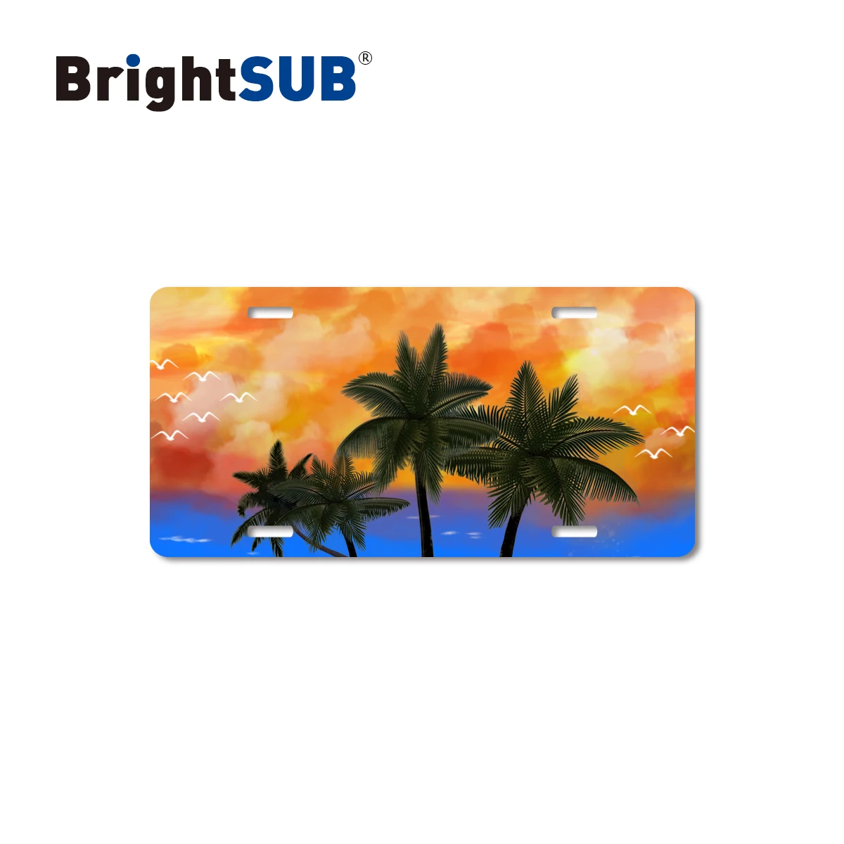 12x6 Blank Longstar Sublimation Aluminum for License Plates