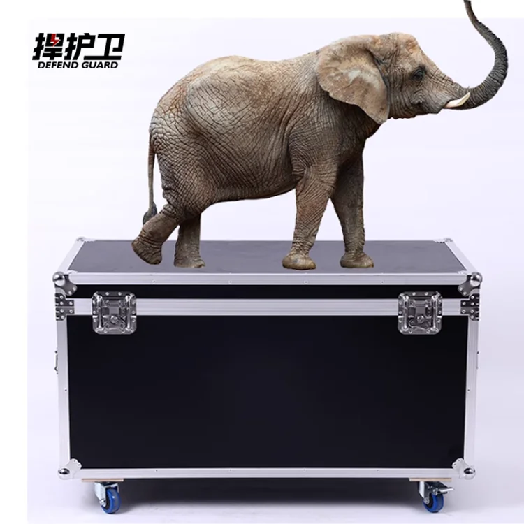 Customized Aviation Box - Durable Aluminum Alloy Case