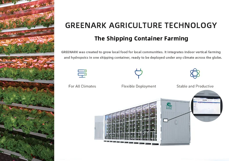 Leafy Vegetable Plant Factory 40HQ Container Farm Hydroponic System ...