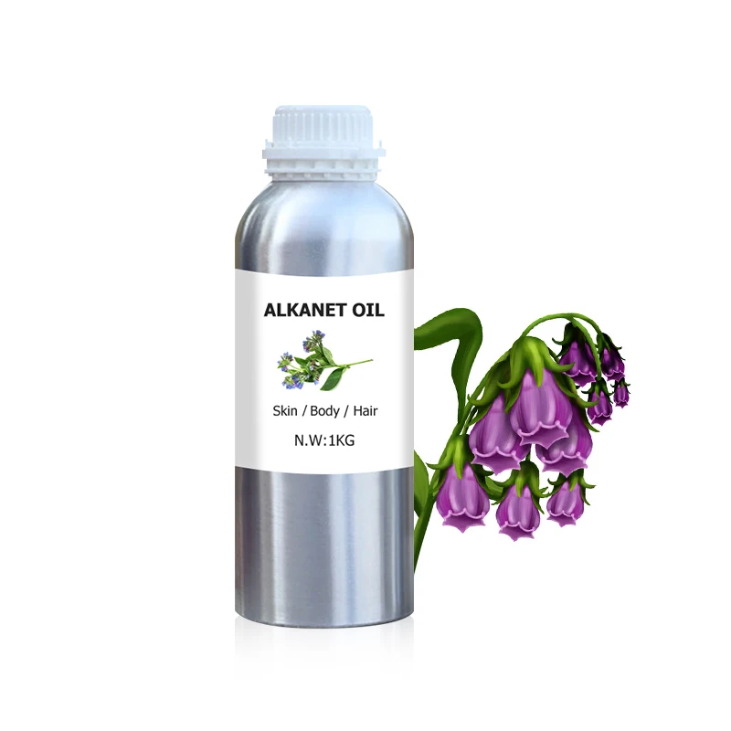Alkanet Oil - Natural Organic Essential Oil for Skincare