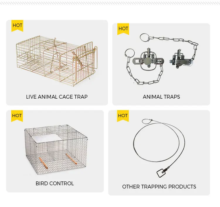 Free Customized Logo Humane Mouse Trap - Reusable & Sustainable