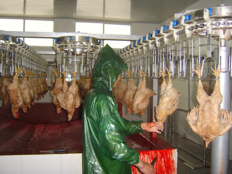 Machine D'abattage De Volaille Au Meilleur Prix De La Ligne De ...