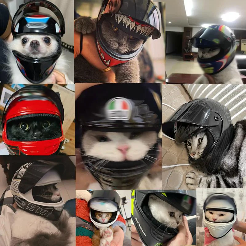 Safe and Stylish Cat Helmets from Fx Motor - Mini Head Protection