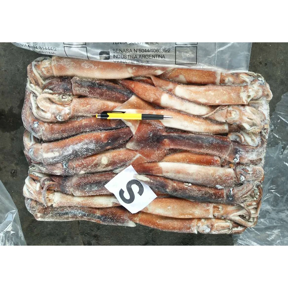 Frozen Whole Squid - Squid-Peru - High Quality & Price