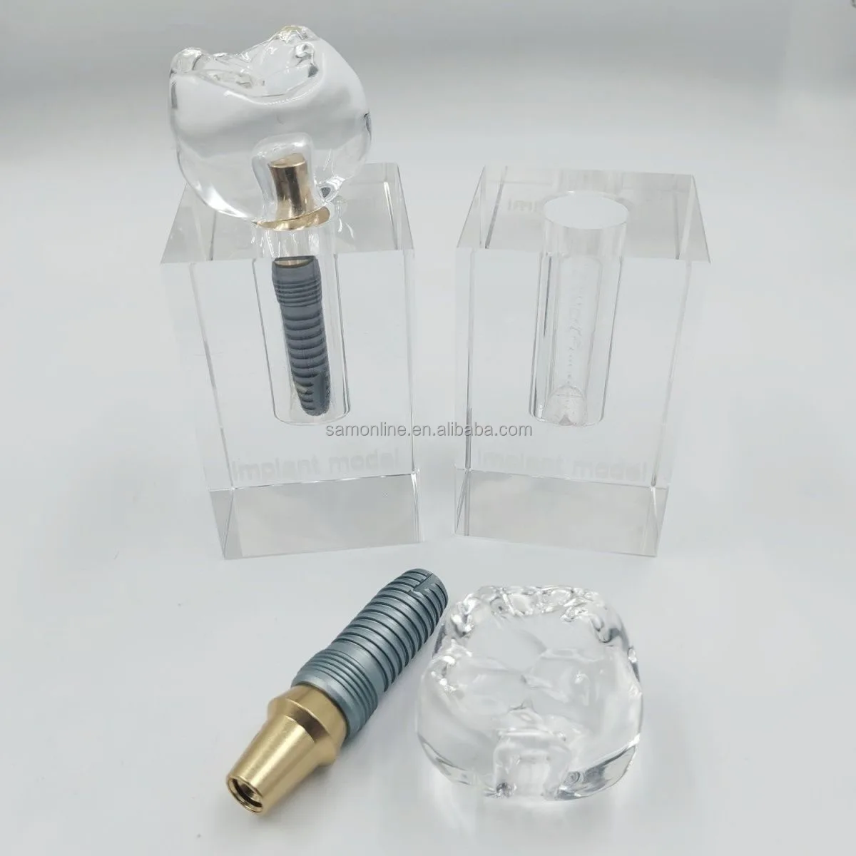 Mr.Den Hot Sales Dental Products Crystal Implant Removable Teeth Model ...
