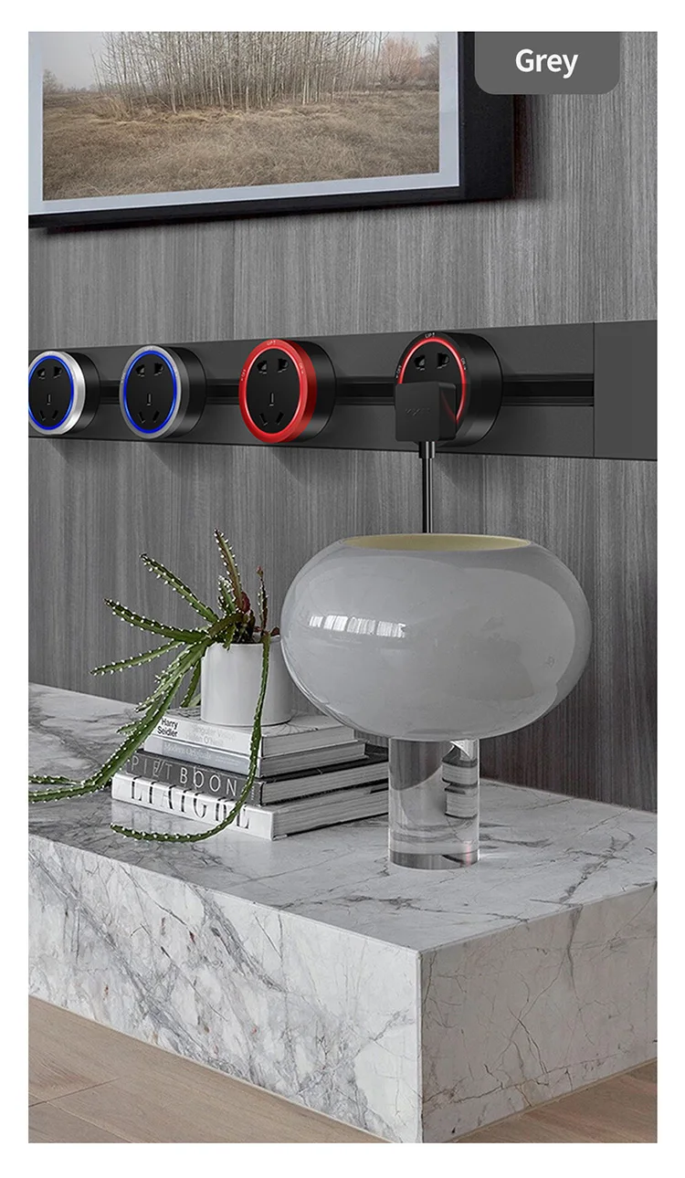 110/250V P2 Series Surface Mounted Power Strip Removable Adapter Plug ...