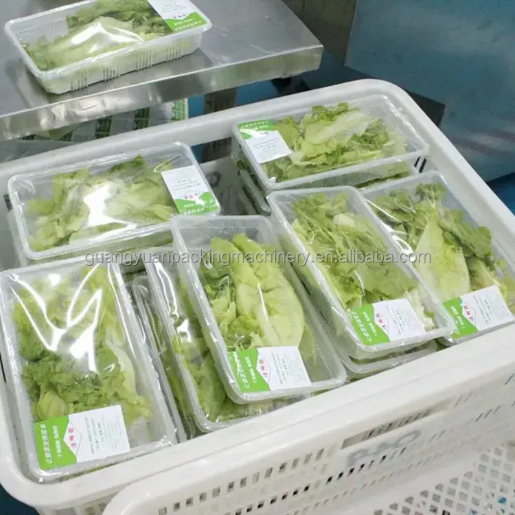 Automatic Map Tray Sealer Modified Atmosphere Packaging Machine Vacuum ...