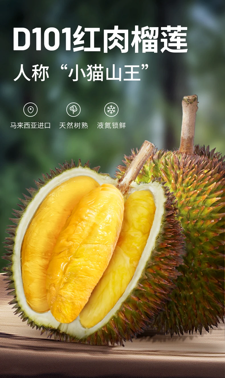 Premium D101 Durian Frozen Whole Fruit Top Malaysian Durian ...