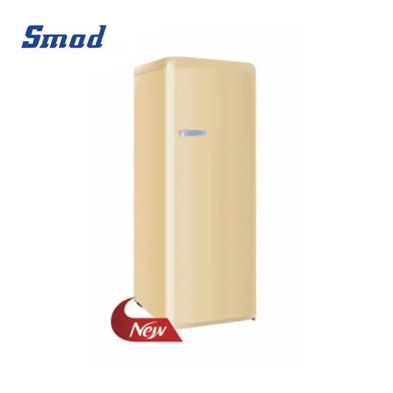 238l Chinese Cfc Free Retro Mini Single Reversible Door Fridge For Dsf ...