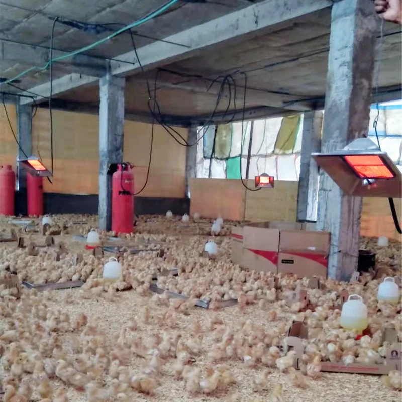 Efficient LPG Biogas Chicken Infrared Gas Brooder Control Unit