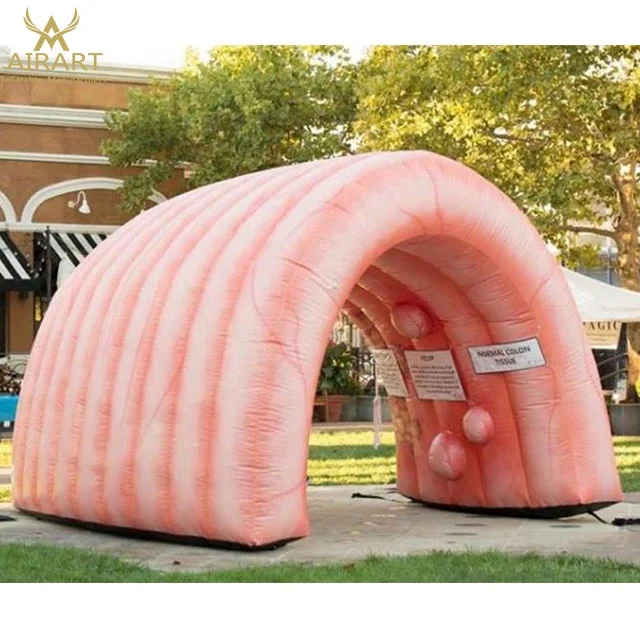 Giant Inflatable Colon - Custom Inflatable Organ Tunnel