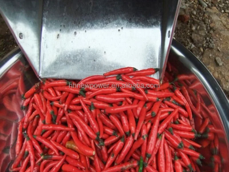 Fresh Pepper Tail Cutting Machine Red Chili Destem Machine Fresh and ...