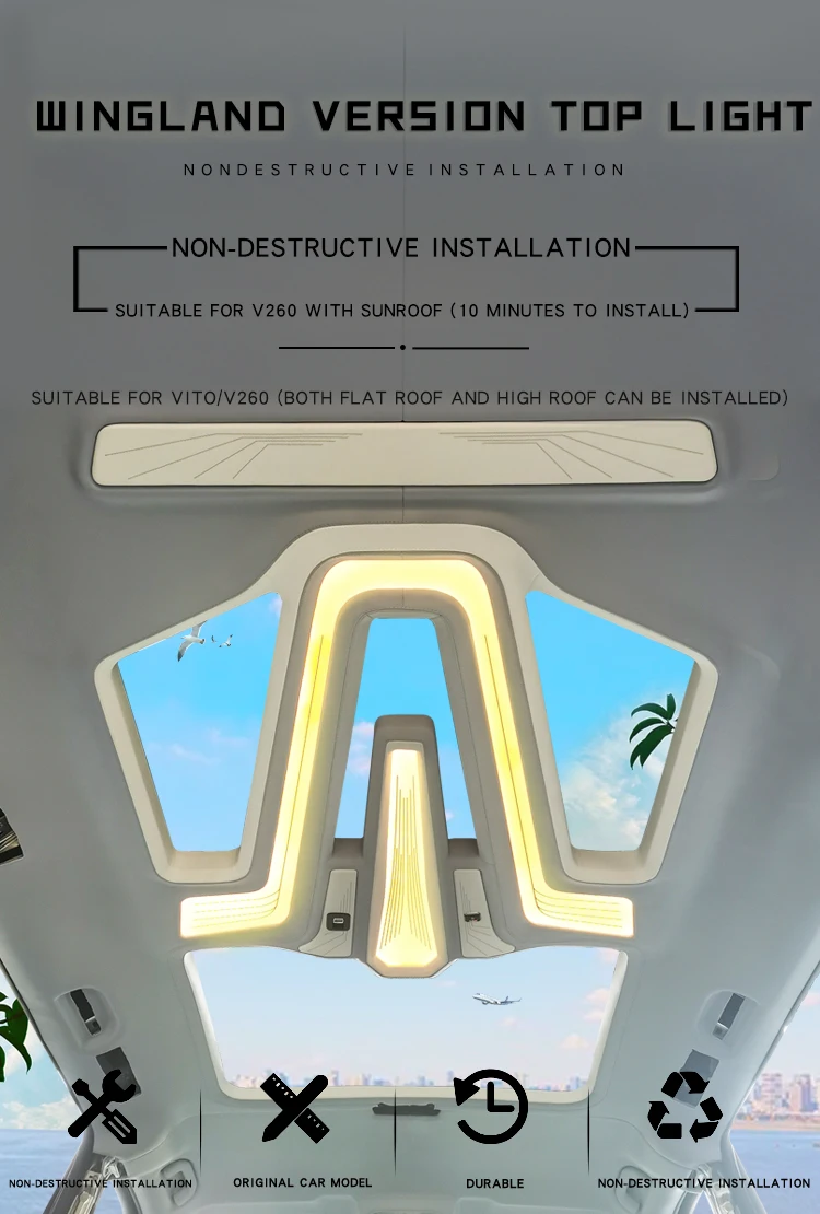 Luxury Vip Business Led Dome Dimmimg Car Interior Light Fitting ...