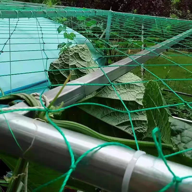 Blow Molding Garden Climbing Plants Trellis Netting Farm Cucumber ...