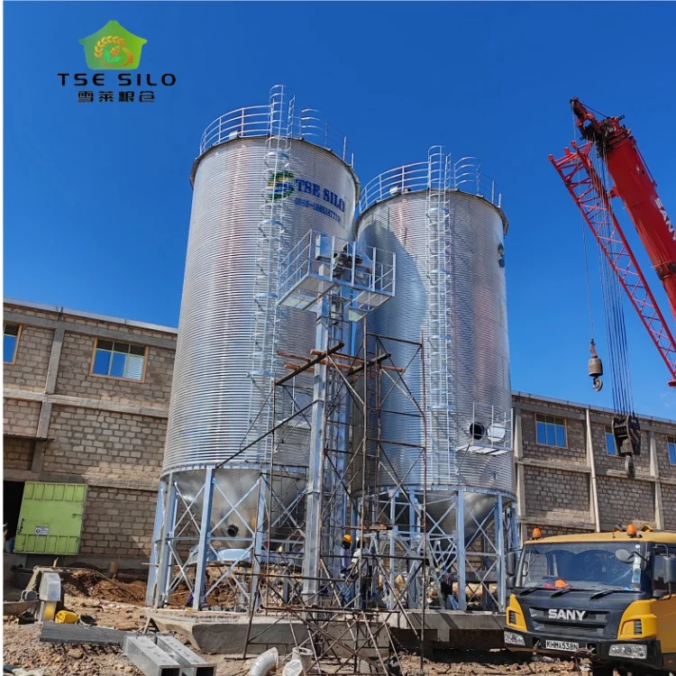 Hot-dip galvanized corn maize hopper bottom silo for poultry| Alibaba.com