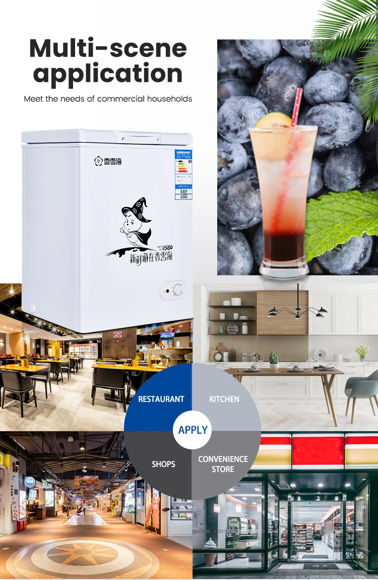Snowsea BD-158 CE CB Single Door Fridges - Efficient & Versatile