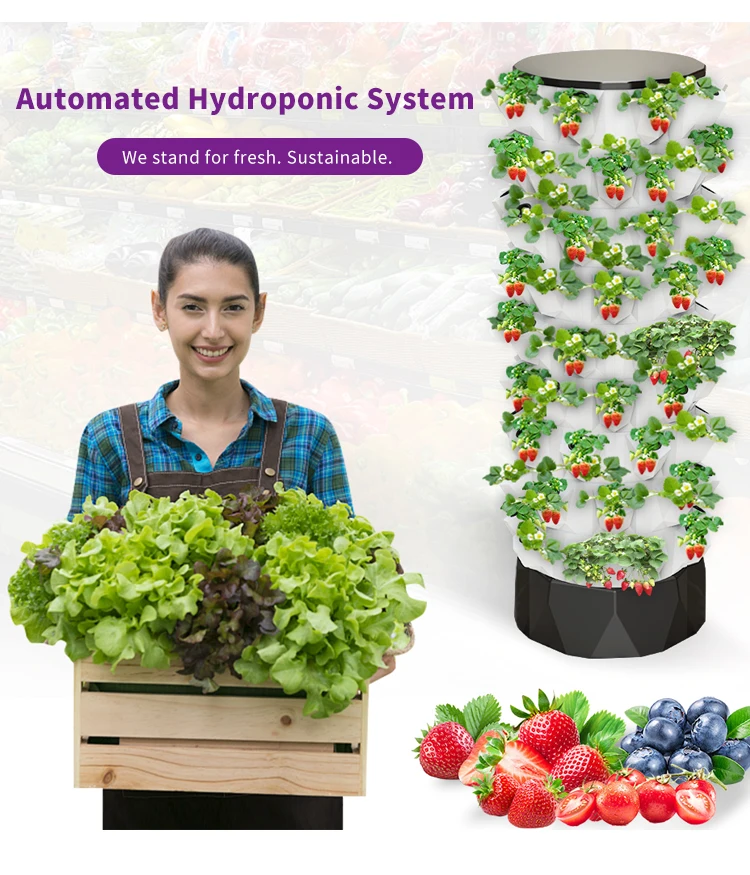 Agricultural Garden Hydroponics System Indoor Greenhouse Hydroponics ...