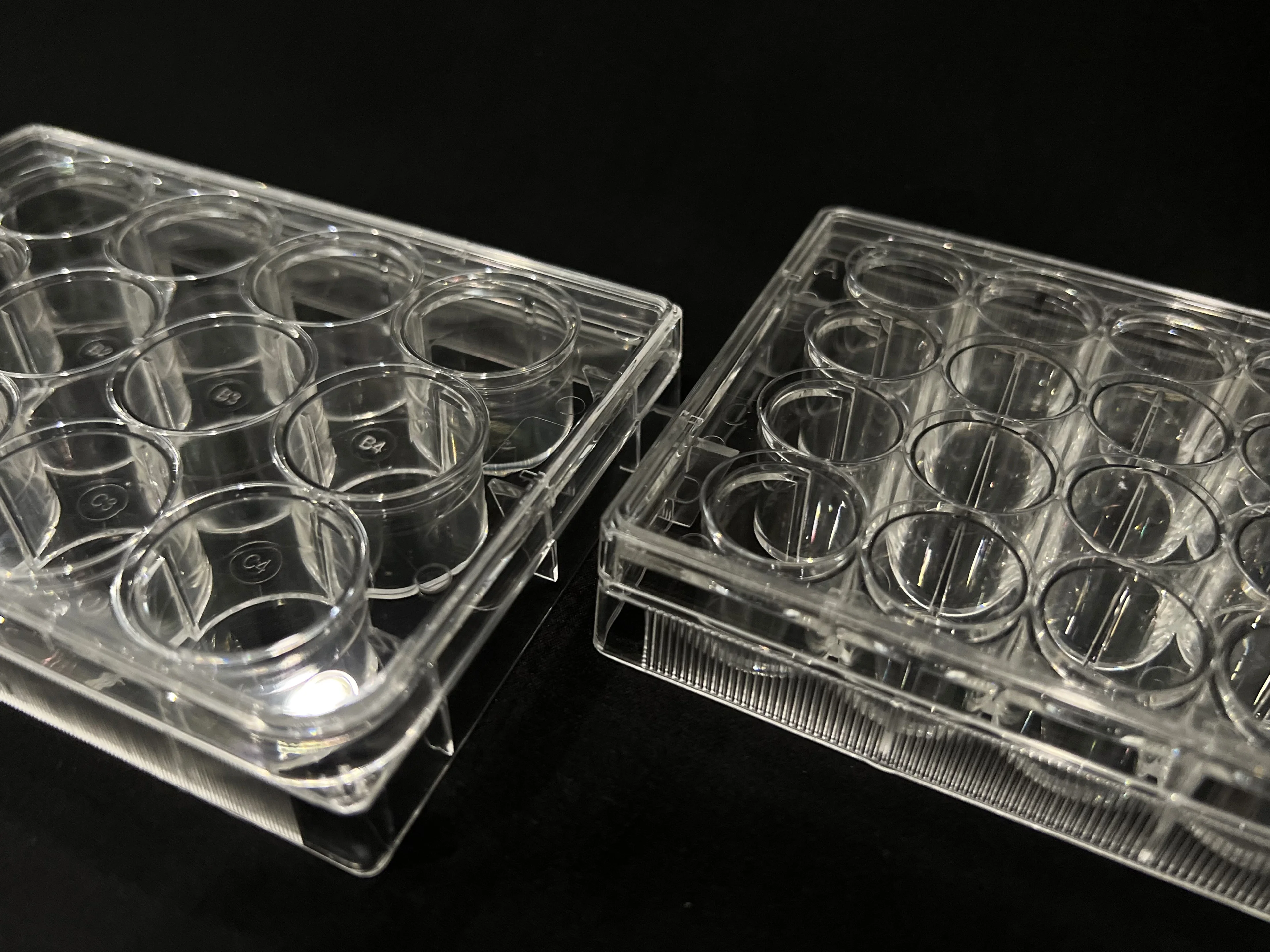Lab 12/24 Well Cell Culture Plate Sterile Cell and Tissue Cell Culture ...