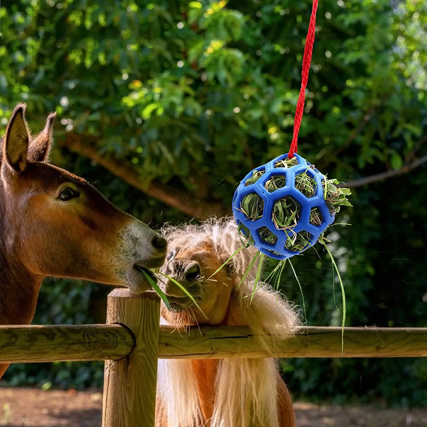 Hot Sale Horse Treat Ball Hay Feeder Toy Ball Hanging Feeding Toy For ...