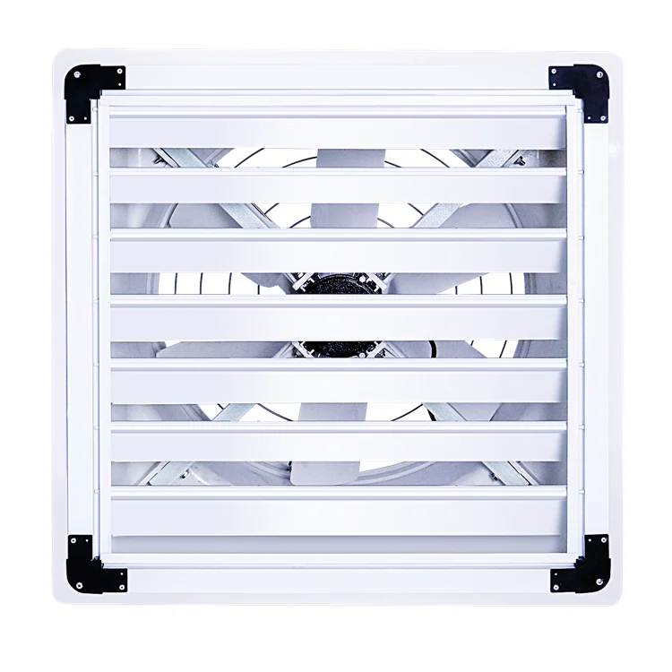 Fresh Air Neonatal Axial Industrial Wall Mounted Pantry Exhaust Fan ...