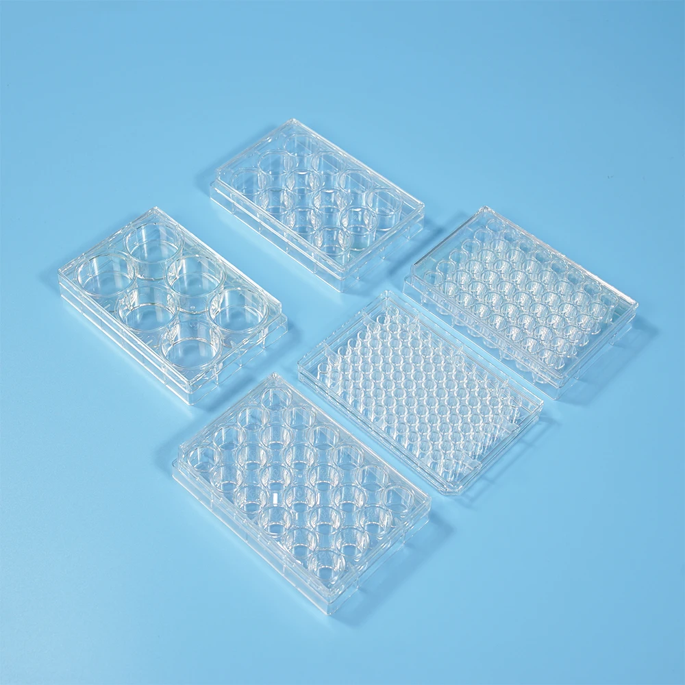 Laboratory Dnase Rnase Free Disposable 6 12 24 48 96 Wells Laboratory ...