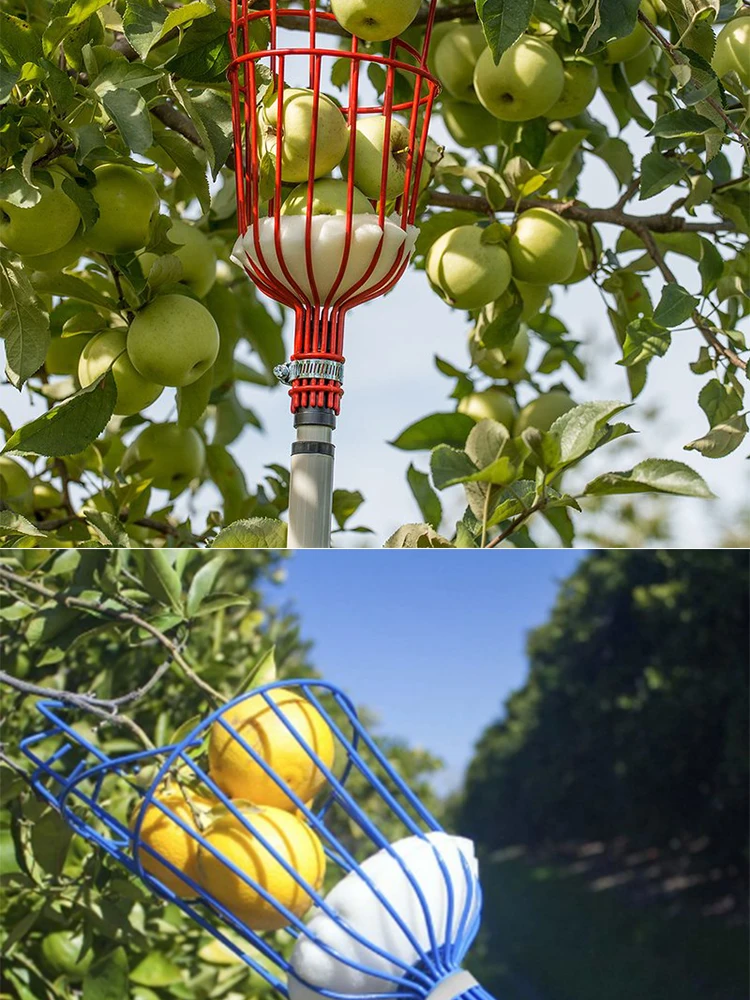 One99 Telescopic Fruit Picker - Adjustable & Durable Tool