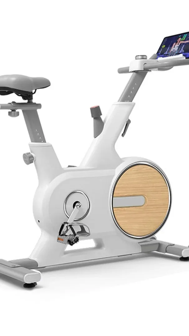 Xoyoou Gym Fitness Bikes Indoor Exercise Bicycle Ultra-quiet Home ...